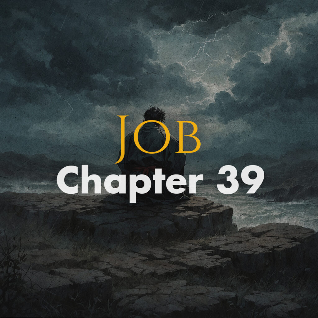 Job Chapter 3 - Detailed Bible Study and Analysis | Devotion