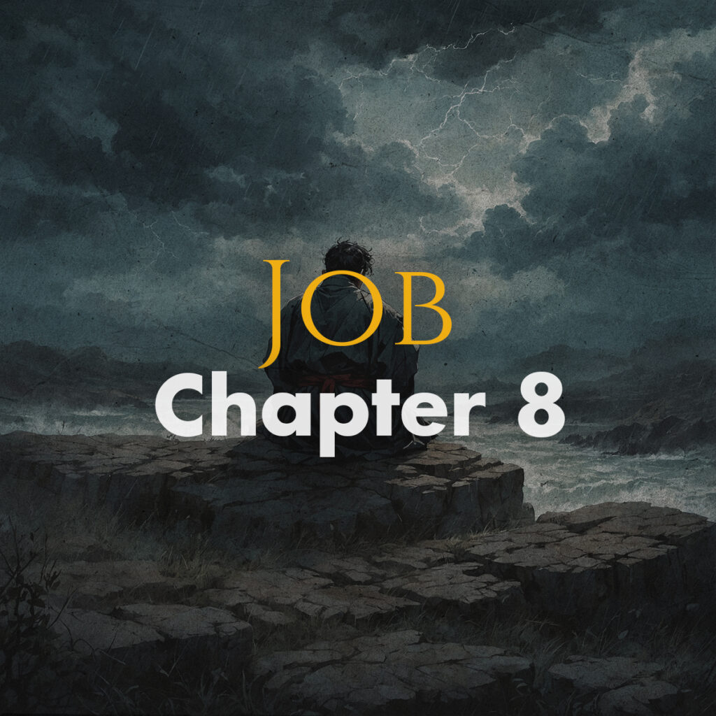 Job Chapter 8 - Detailed Bible Study and Analysis | Devotion